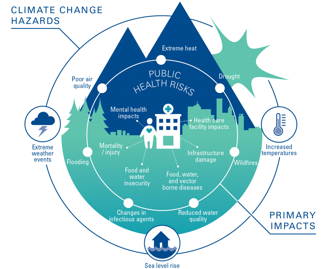 hazards-impacts_public health - EcoPlan International